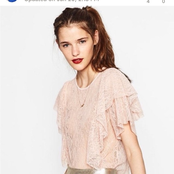 Zara | Tops | Nwot Zara Sheer Blush Pink Ruffled Lace Crop Top Medium ...